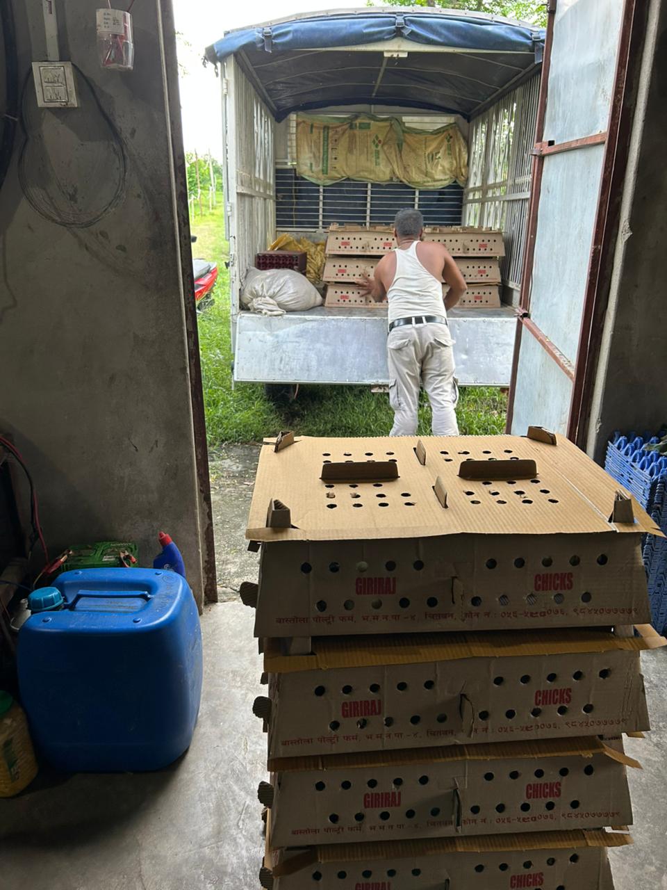 Bastola Poultry Farm